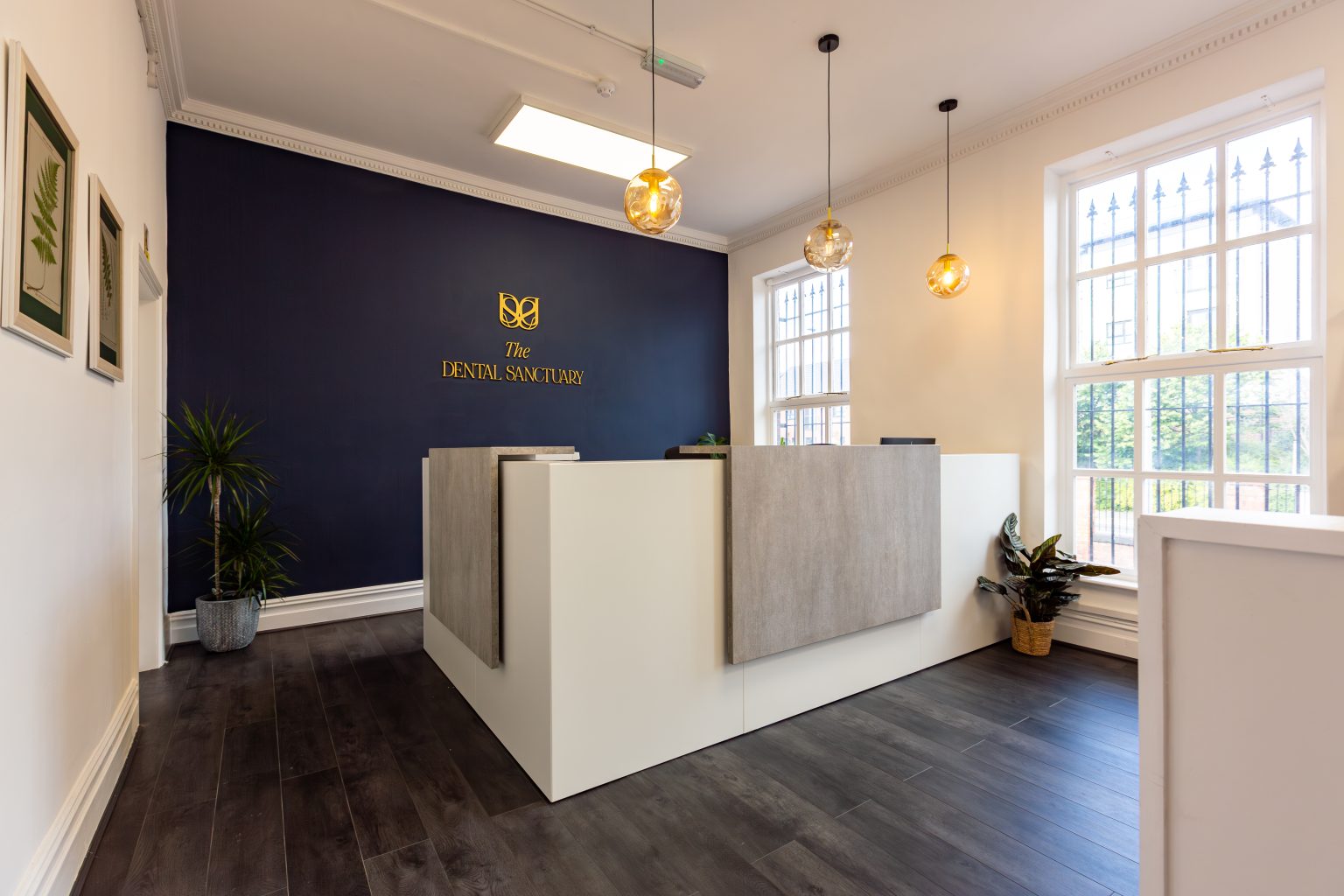 Portfolio | HiSpace case studies: Dental, Medical and Veterinary